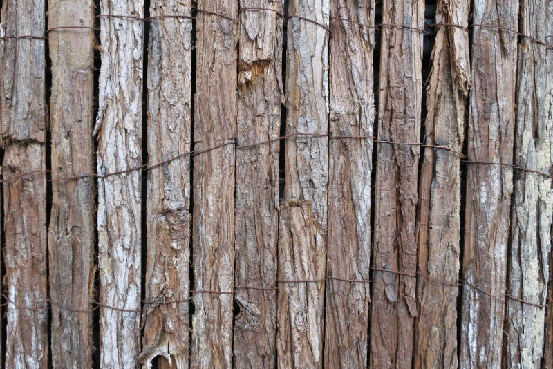 Pieces of Tree Bark Isolated on White Stock Image - Image of brown ...