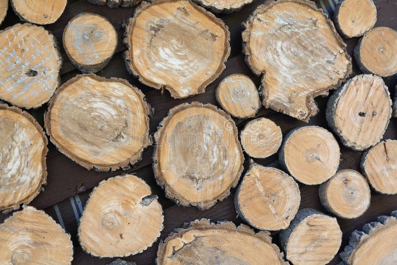 Fence Made of Round Cut Tree Trunks Stock Photo - Image of reserve ...