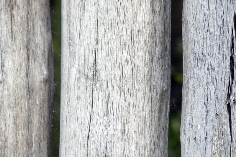 A Fence Made of Tree Trunks Stock Photo - Image of ecology, structure ...