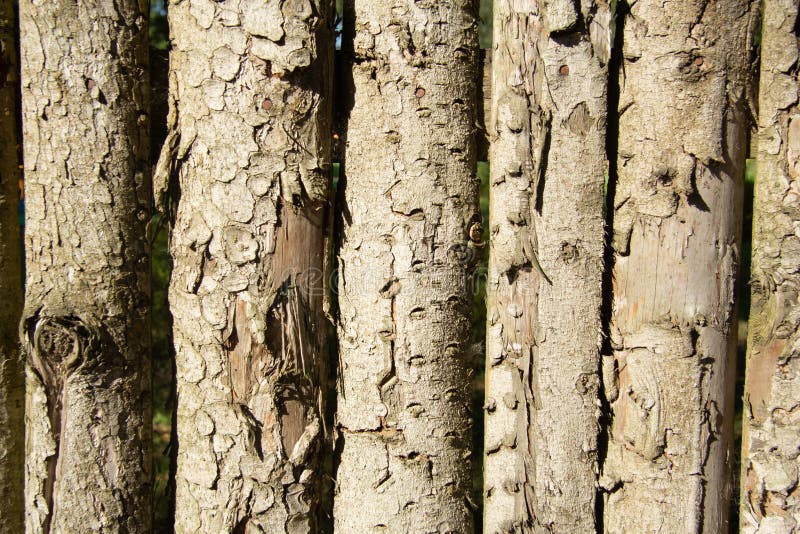 A Fence is Made of Vertical Logs Stock Photo - Image of textured, wall ...