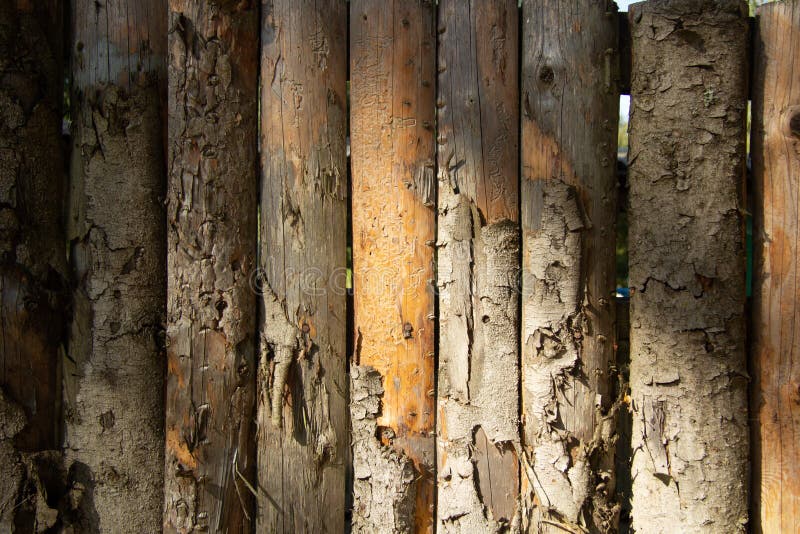 A Fence is Made of Vertical Logs Stock Image - Image of closeup ...