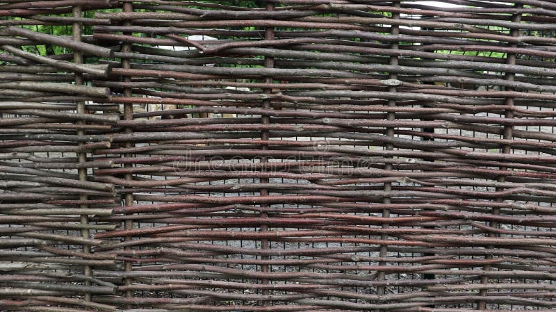 Fence Made of Vine, Texture, Background. Wicker Grape Fence. Structures ...