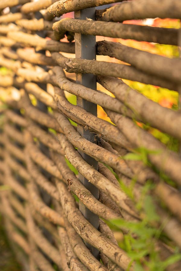 A Fence Made of Wicker Branches of a Willow Tree. Vertical Photo ...