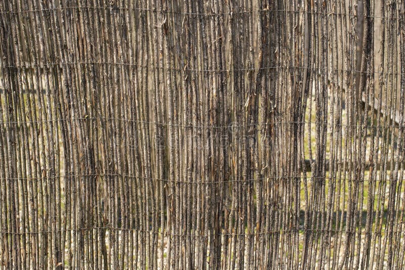 A Fence Made from Wooden Sticks and Bound with Wire Stock Photo - Image ...