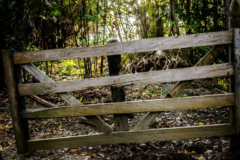 Fence in the Middle of the Woods Stock Image - Image of leaf, middle ...