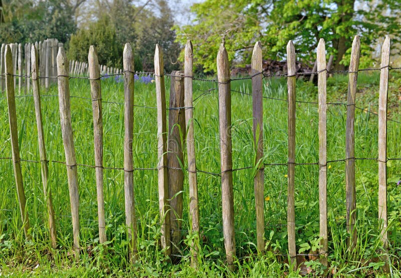 Fence in Natural Wood Posts Protecting a Part of Grass in a Garden ...