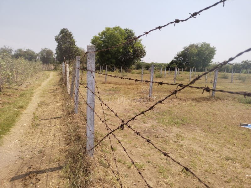 Fence and nature stock photo. Image of farm, tree, plantation - 217674032