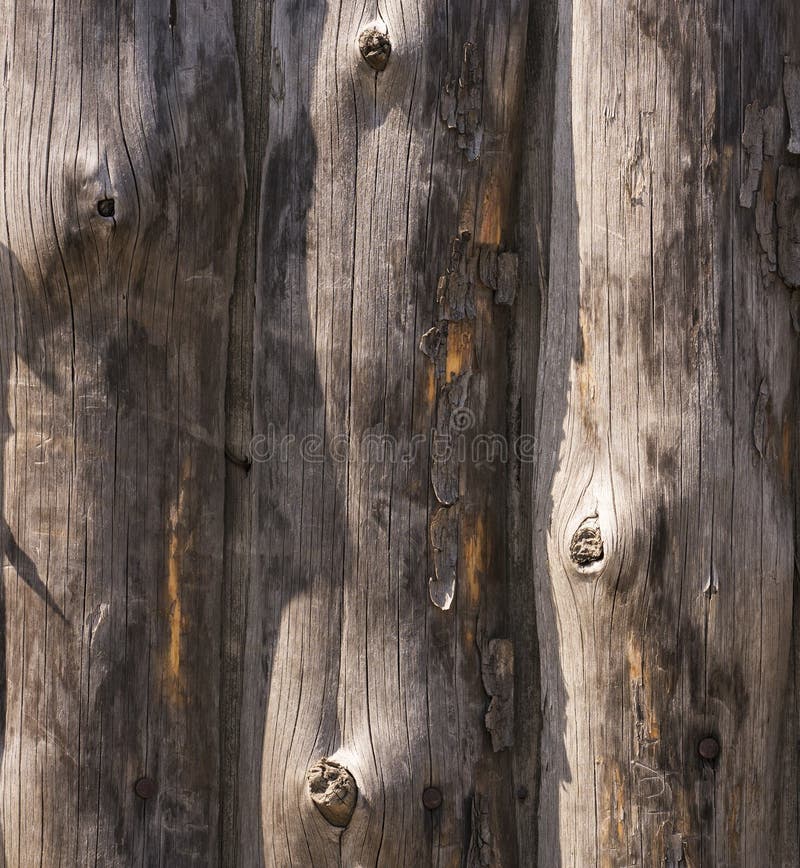 Fence of Old Boards with Nails and Destroyed Wood Stock Photo - Image ...