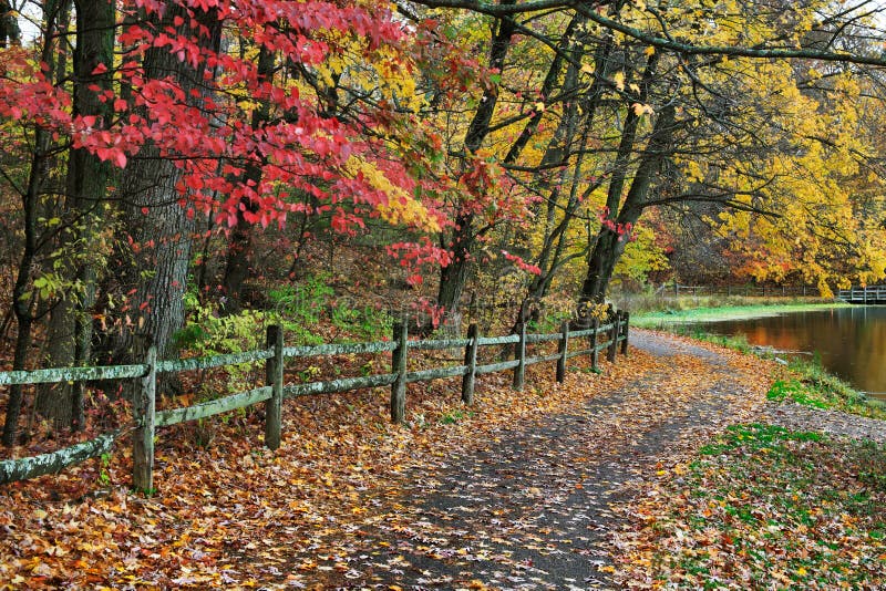 Fence and Path in Autumn stock image. Image of colors - 23759955