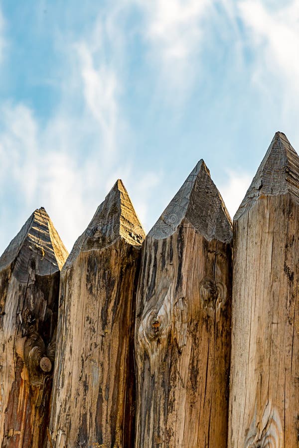 Fence Pattern with Pointed Trunks Used To Protect the Fort Rises on a ...