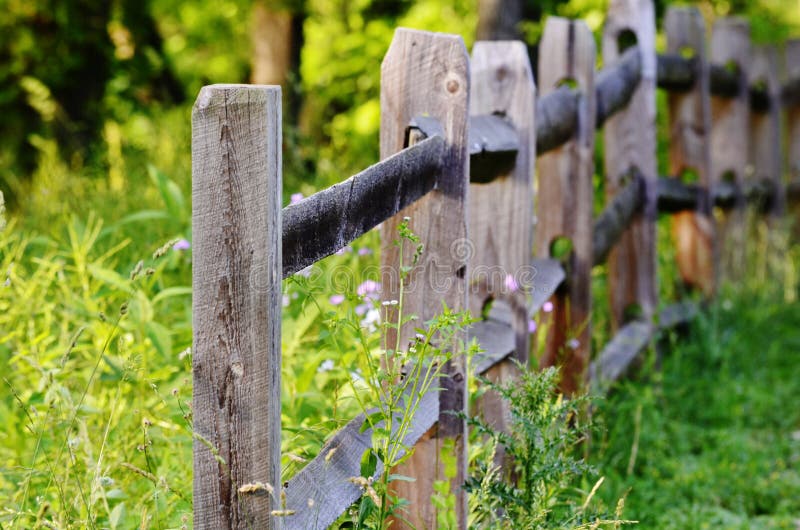 Fence post stock photo. Image of aging, thistles, splinter - 56909178
