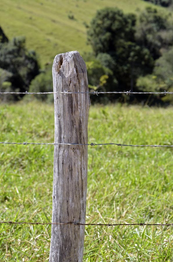 Fence Post with Barbed Wire Stock Image - Image of deny, strength: 78528235