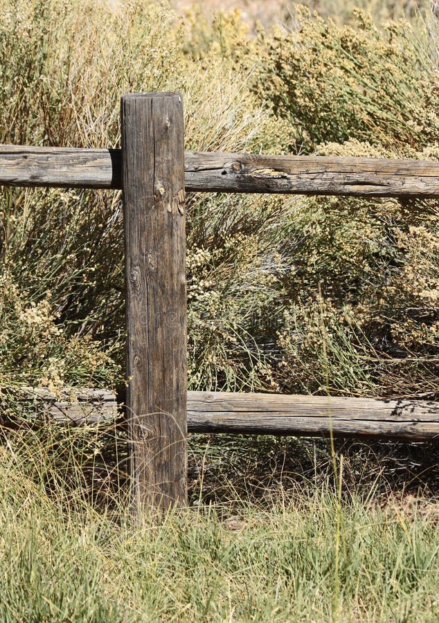 Fence Post stock image. Image of background, overgrown - 46939293