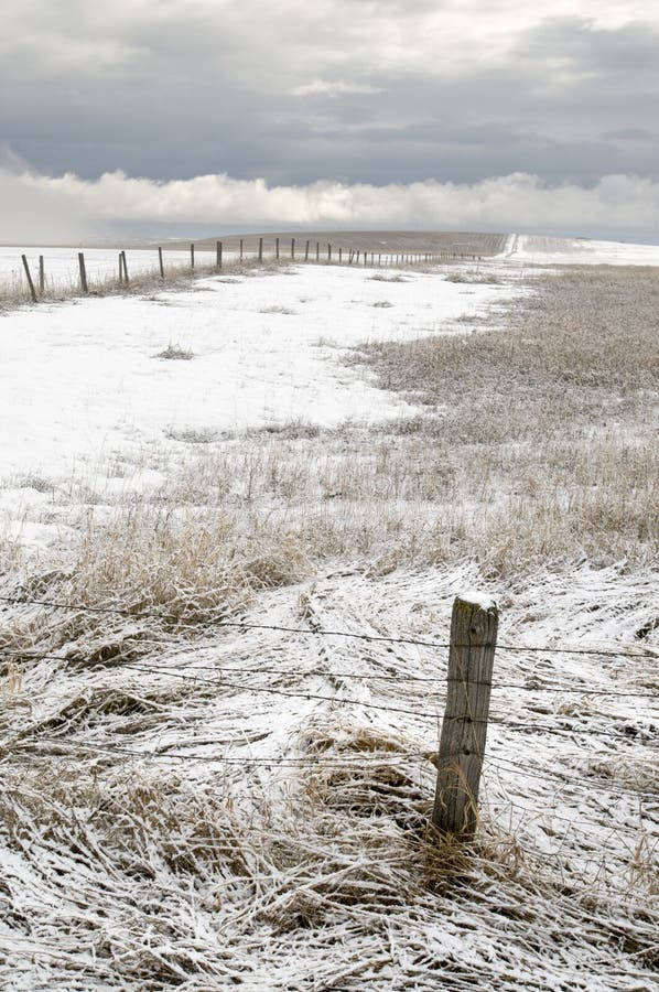 Fence Post in Winter Field stock image. Image of cold - 5318743