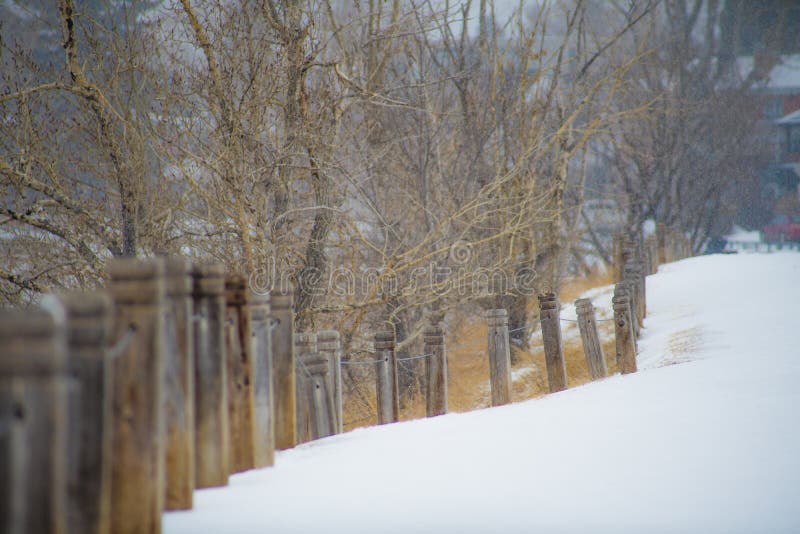 Fence Posts in Winter Outdoors Snowfall Stock Image - Image of suburban ...
