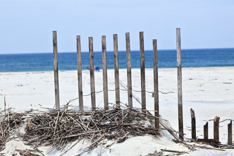 Fence for Protection of the Dunes at the Beautiful Natural Beach Stock ...