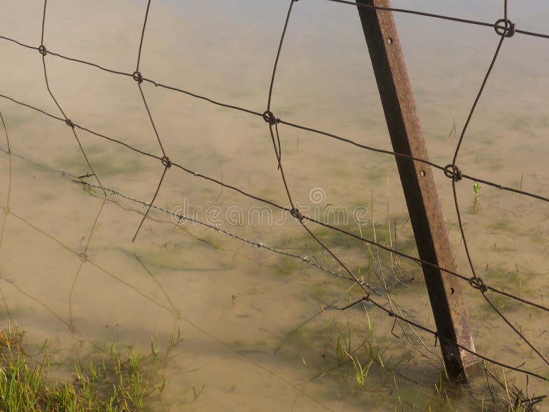 Rusty Wire Fence in Puddle of Water Stock Image - Image of island ...