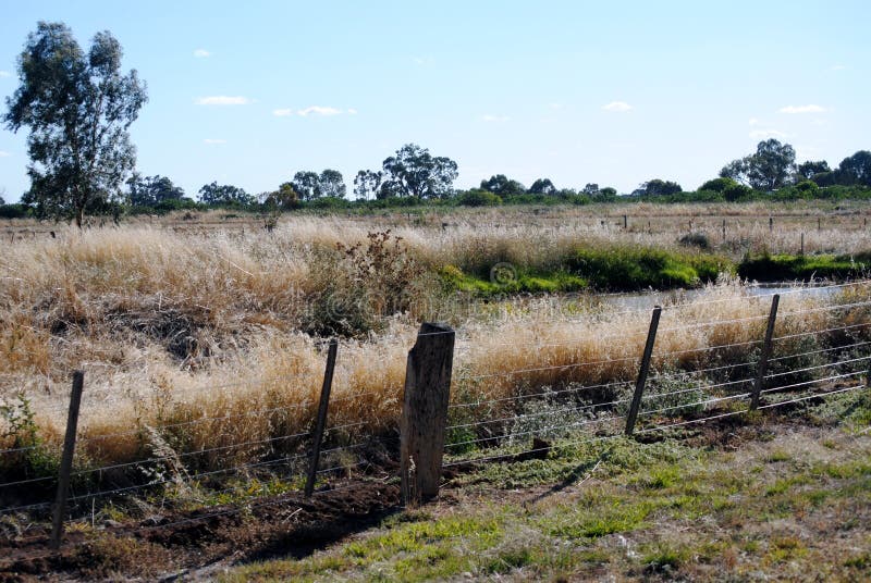 Fence stock image. Image of grass, bush, outback, farm - 55169291