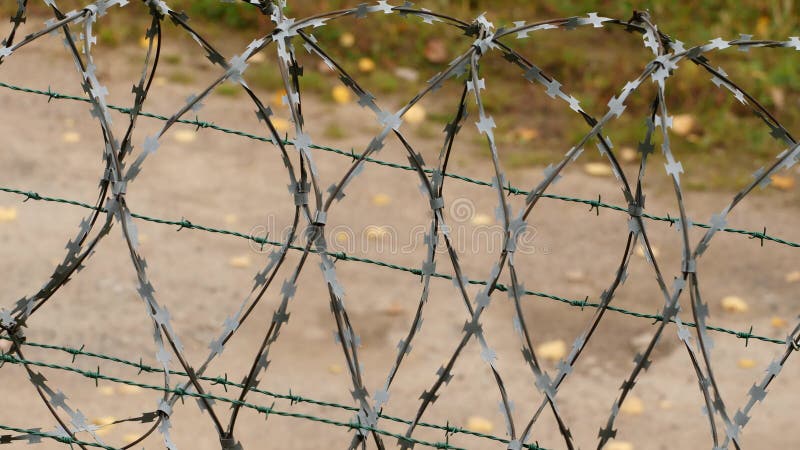 Fence with Sharp Razor Wire Blades. Concertina Wire Close-up. Pan from ...