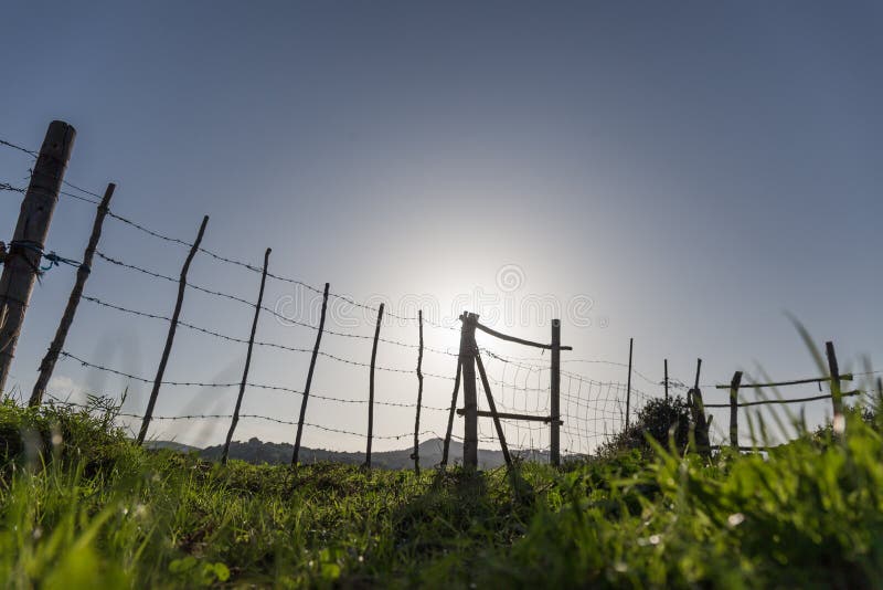 Fence, sunset in the field stock image. Image of lights - 213977921