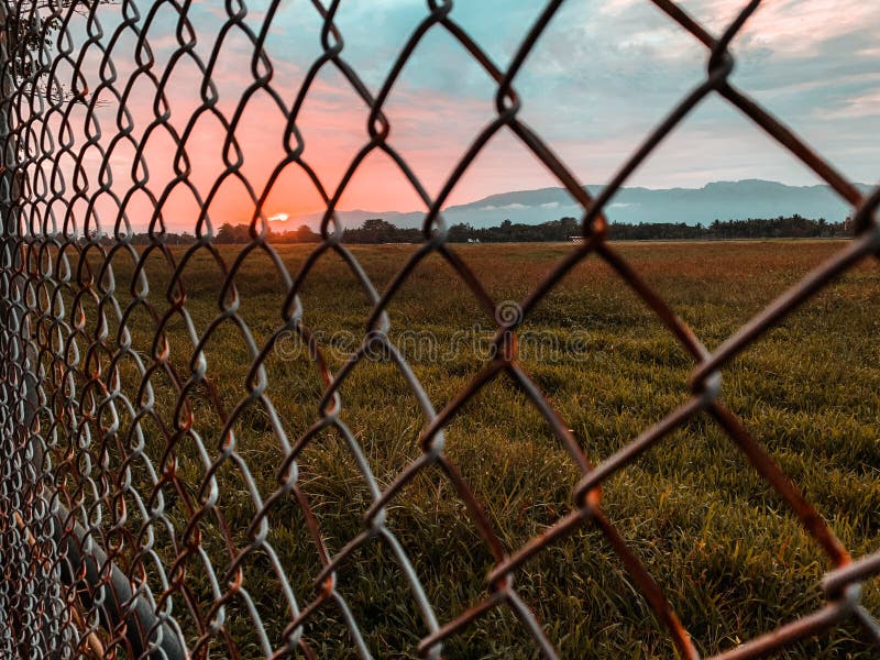 Fence and Sunset stock image. Image of twilight, frncing - 261930905