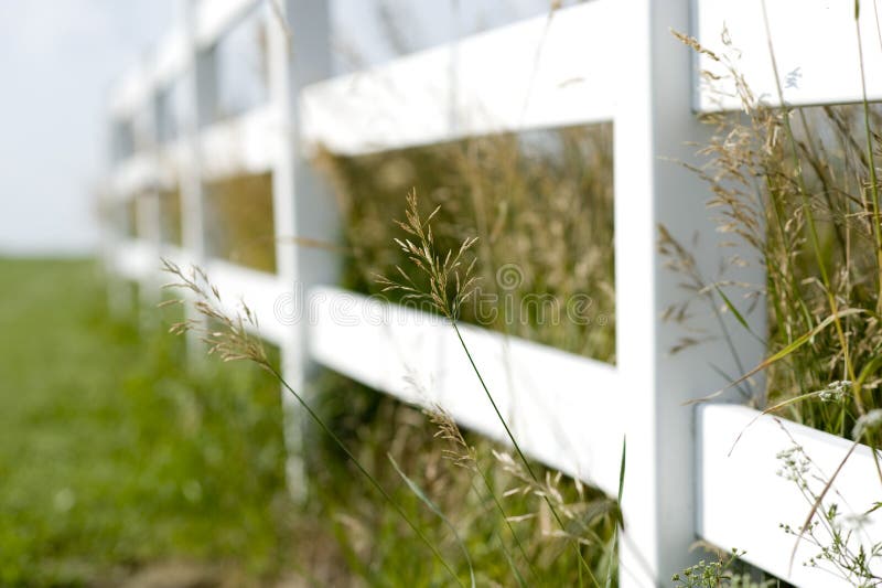 Fence and tall grass stock image. Image of restraint - 32014839