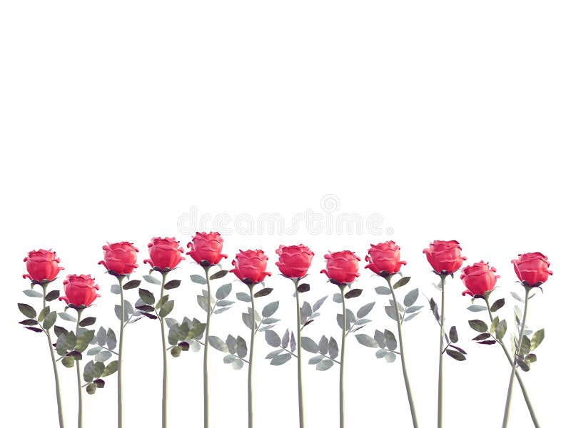 Fence of tall roses stock illustration. Illustration of grow - 199374248