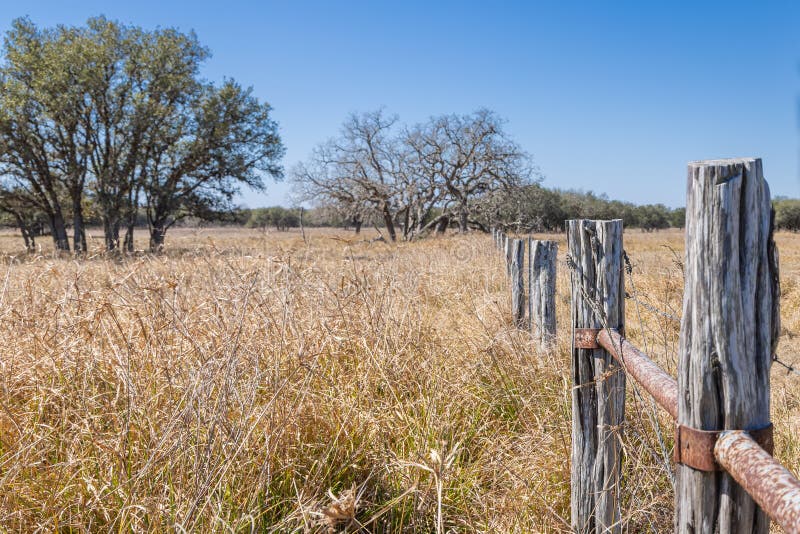 Fence on a Texas Cattle Ranch Stock Photo - Image of sunny, states ...