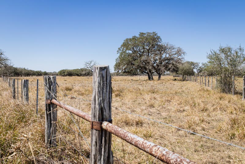 Fence on a Texas Cattle Ranch Stock Photo - Image of yoakum, daytime ...