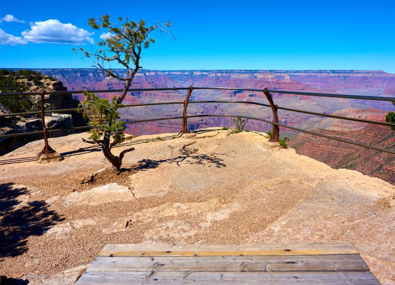 Fence, Tree and Bench in Front of the Grand Canyon Stock Image - Image ...