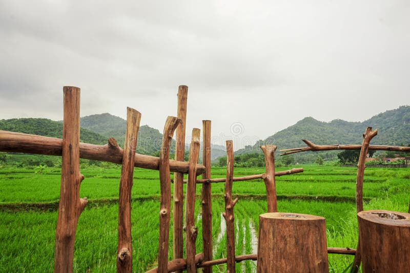 Fence of Tree Trunks with Rice Fields and Mountains in the Background ...