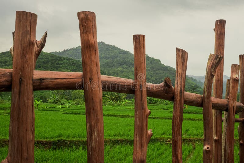 Fence of Tree Trunks with Rice Fields and Mountains in the Background ...