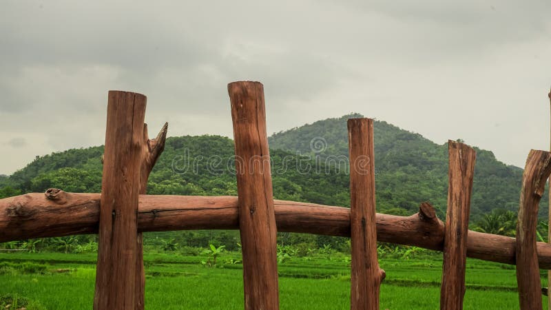 Fence of Tree Trunks with Rice Fields and Mountains in the Background ...
