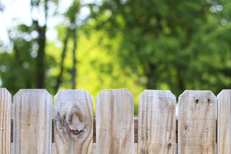 Fence and Trees Outdoors Backyard Background Stock Photo - Image of ...