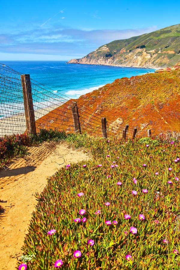 Fence and Walking Path Next To Spring Fields of Flowers Next To Ocean ...