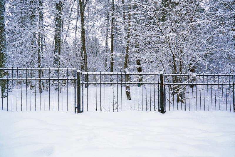 Fence in Winter in the Forest. Fencing in the Park Stock Photo - Image ...