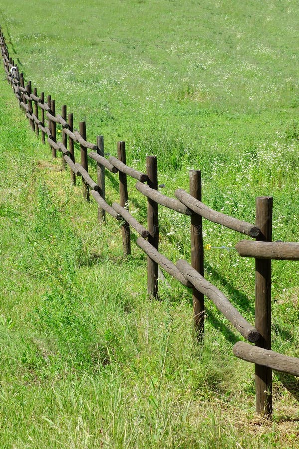 Fence Wooden Green Field stock image. Image of grass - 55867979