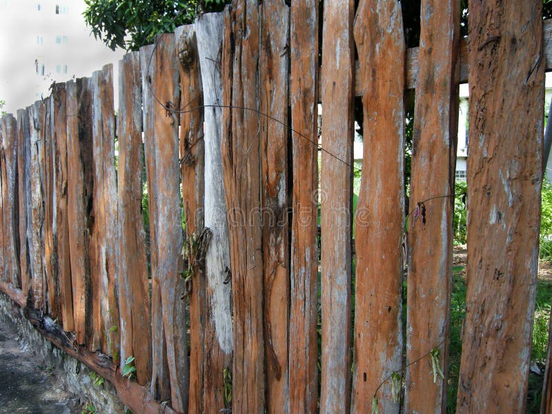 Fence stock image. Image of pattaya, limit, tree, timber - 86555499