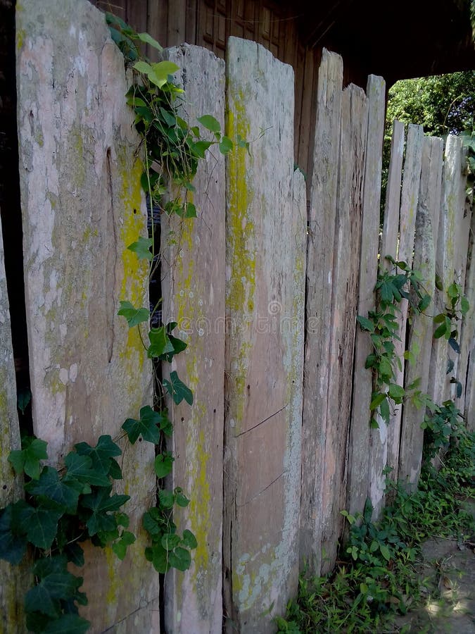 Fence stock photo. Image of wooden, abstract, texture - 91761048
