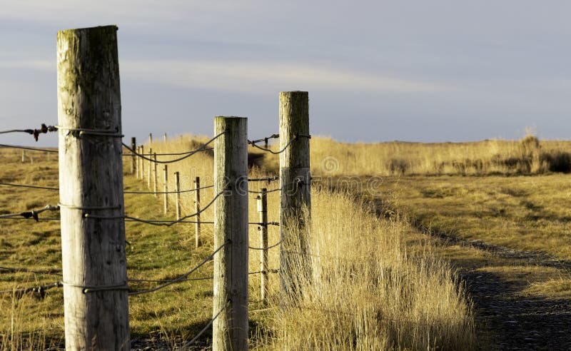 A Fence with Wooden Posts and Wire on a Field Stock Image - Image of ...