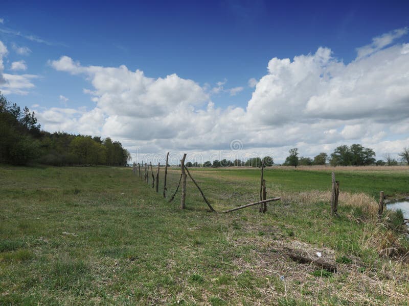 Empty Pasture for Cattle in Spring Stock Photo - Image of spring ...