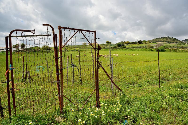 Fenced field stock image. Image of clouds, mountains - 206783517