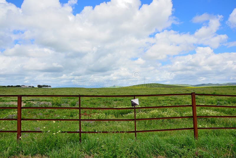 Fenced field stock photo. Image of grass, andalusia - 206783526