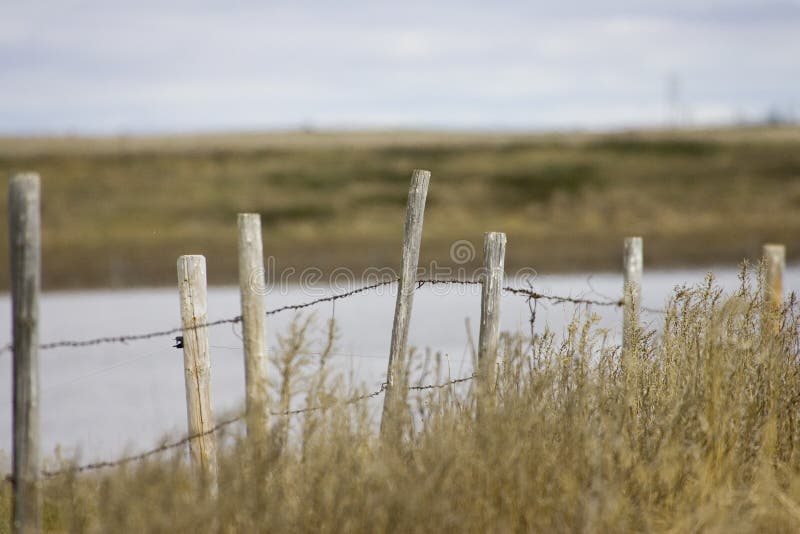 Fenced Field stock photo. Image of perimeter, cloud, barb - 806826