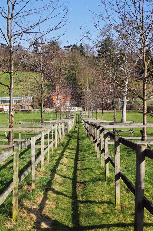 Fenced Footpath through an English Meadow Stock Image - Image of ...