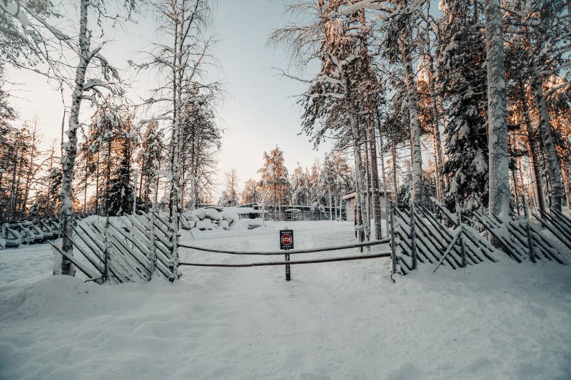 Fenced Off Area in Snowy Forest in Ranua, Lapland Stock Image - Image ...