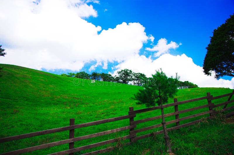 Fenced-off Farm in Turf Up Blue Sky and White Cloud Stock Image - Image ...