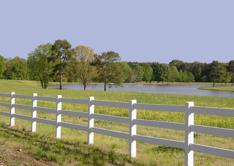 The Fenced in Pasture stock photo. Image of pasture, scenic - 13935754