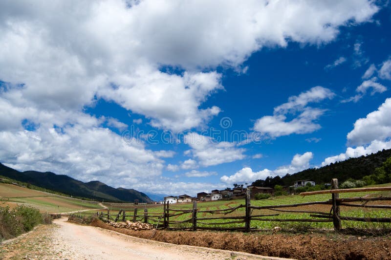 Fenced Pasture stock photo. Image of trees, pastoral, farming - 9127864
