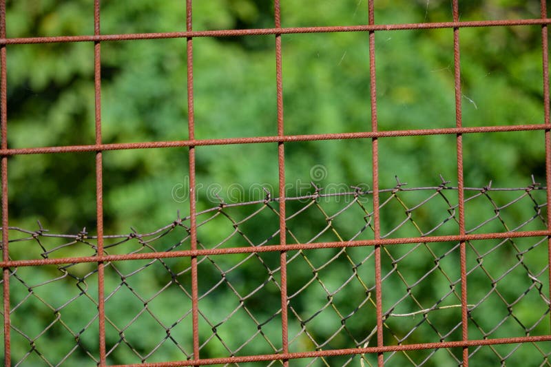 Metal wire stock photo. Image of lawn, circle, line - 330183634